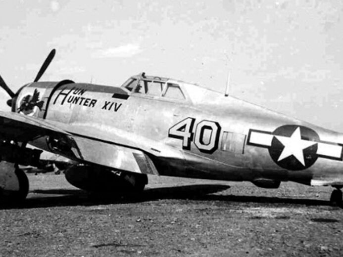 Republic P-47 Thunderbolt Gallery | Wings Tracks Guns