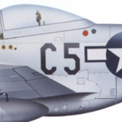 History of the 357th Fighter Group | Wings Tracks Guns