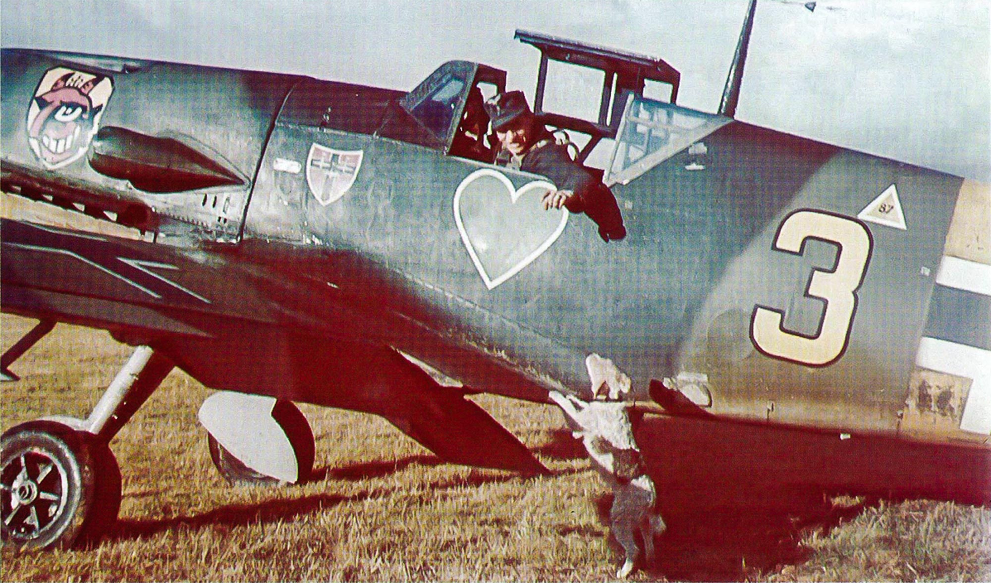 Messerschmitt Bf 109G-2 - Wings Tracks Guns