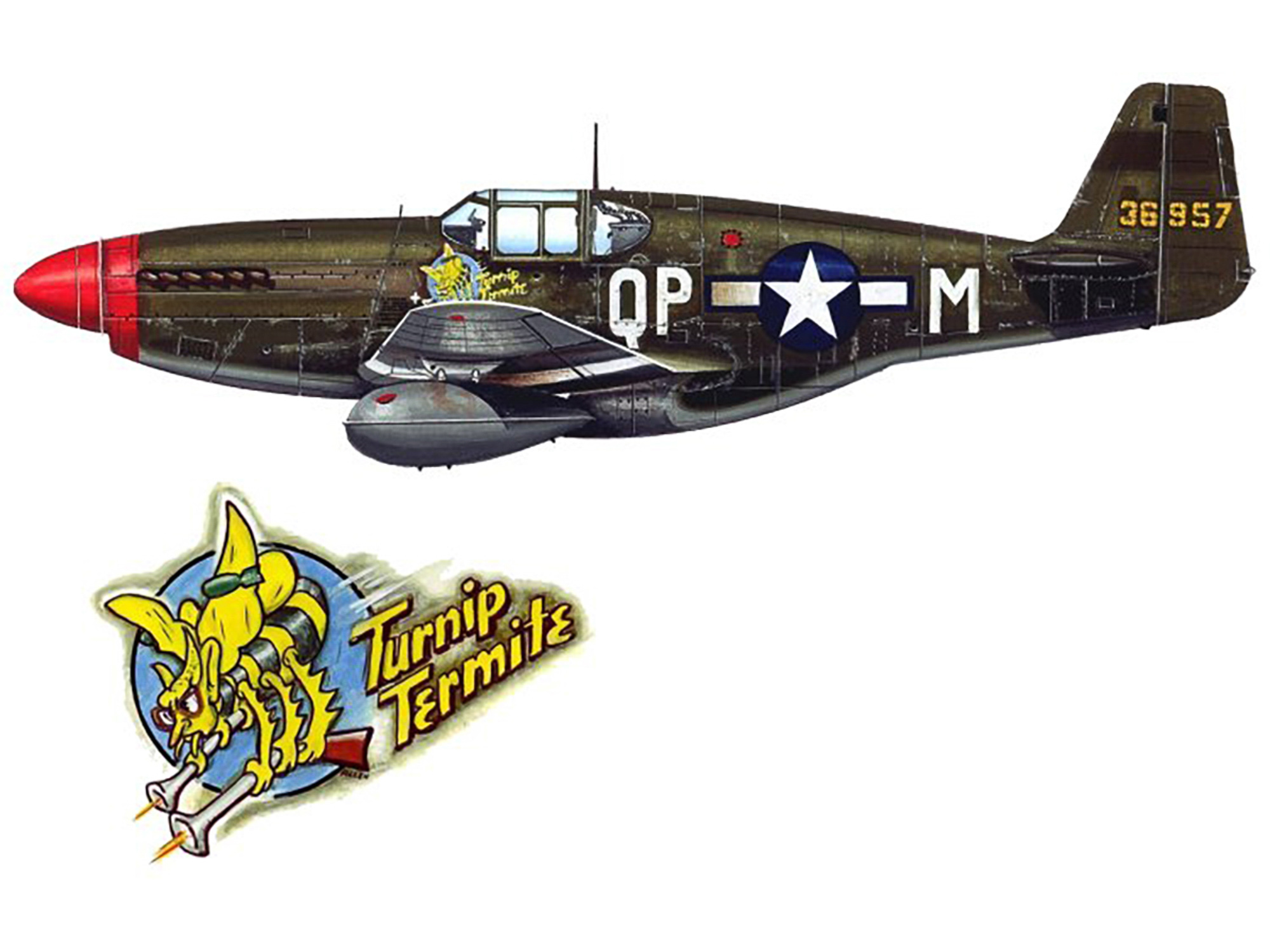 P-51B Mustang – “Turnip Termite” - Wings Tracks Guns