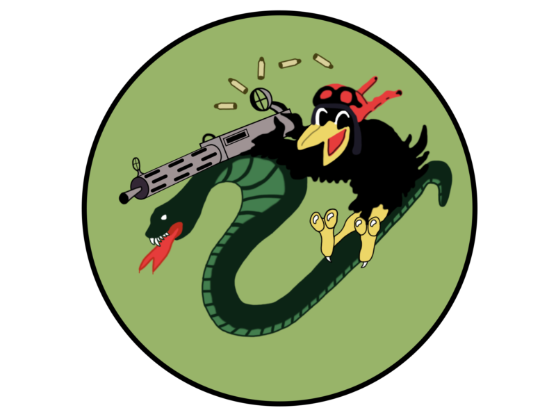 History of the 357th Fighter Group | Wings Tracks Guns