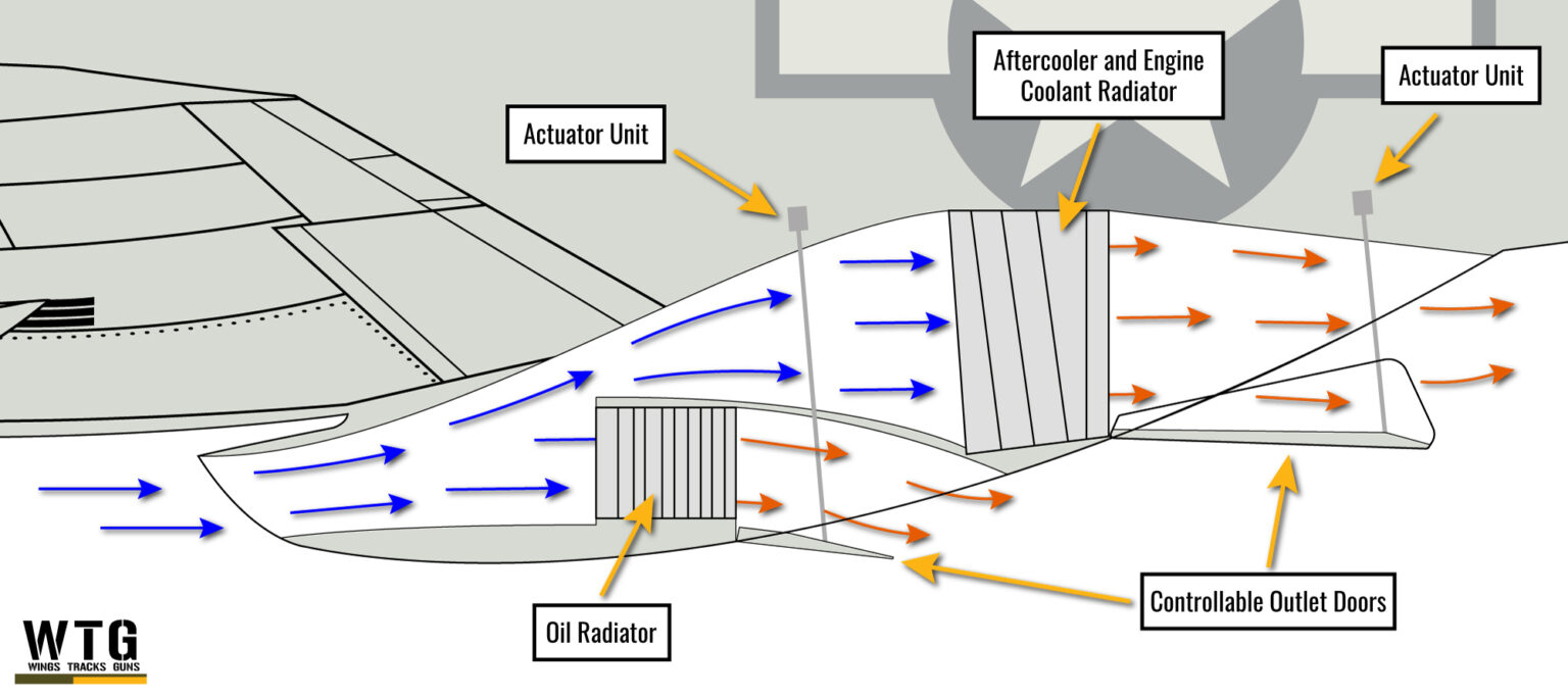 Merlin Mustang: History of the P-51 | Wings Tracks Guns